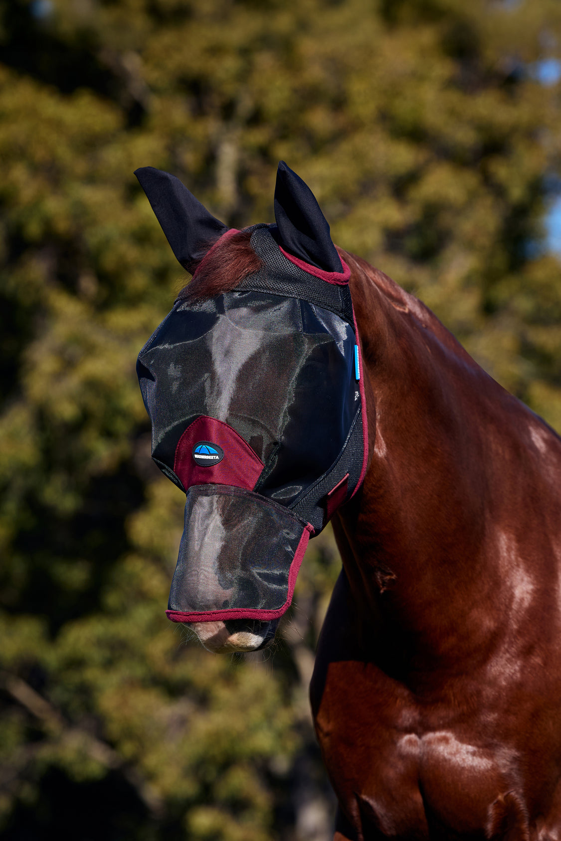 Weatherbeeta Comfitec Fine Mesh Fly Mask With Ears & Nose Black / Burg ...