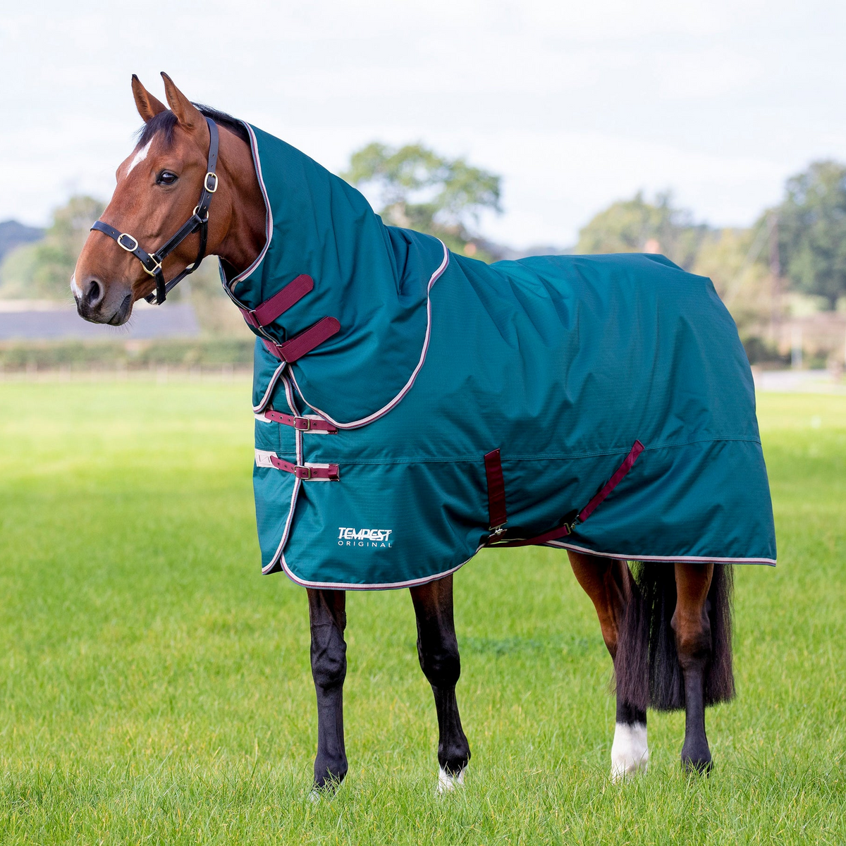 Shires Tempest Original 200g Turnout Rug & Neck Set Green – Rokers