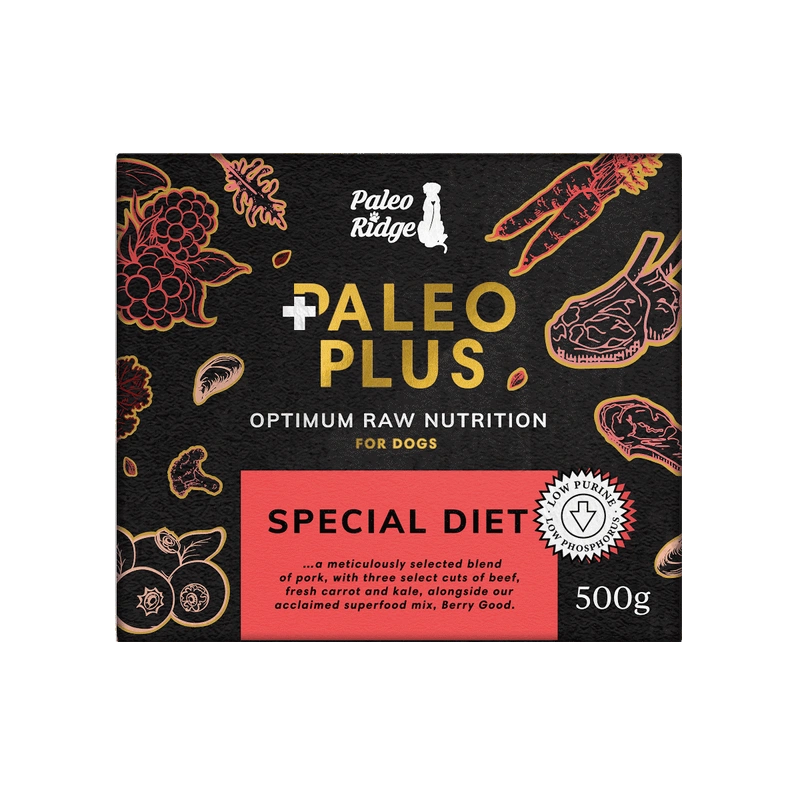 Paleo Ridge Paleo Plus Special Diet 500g – Rokers