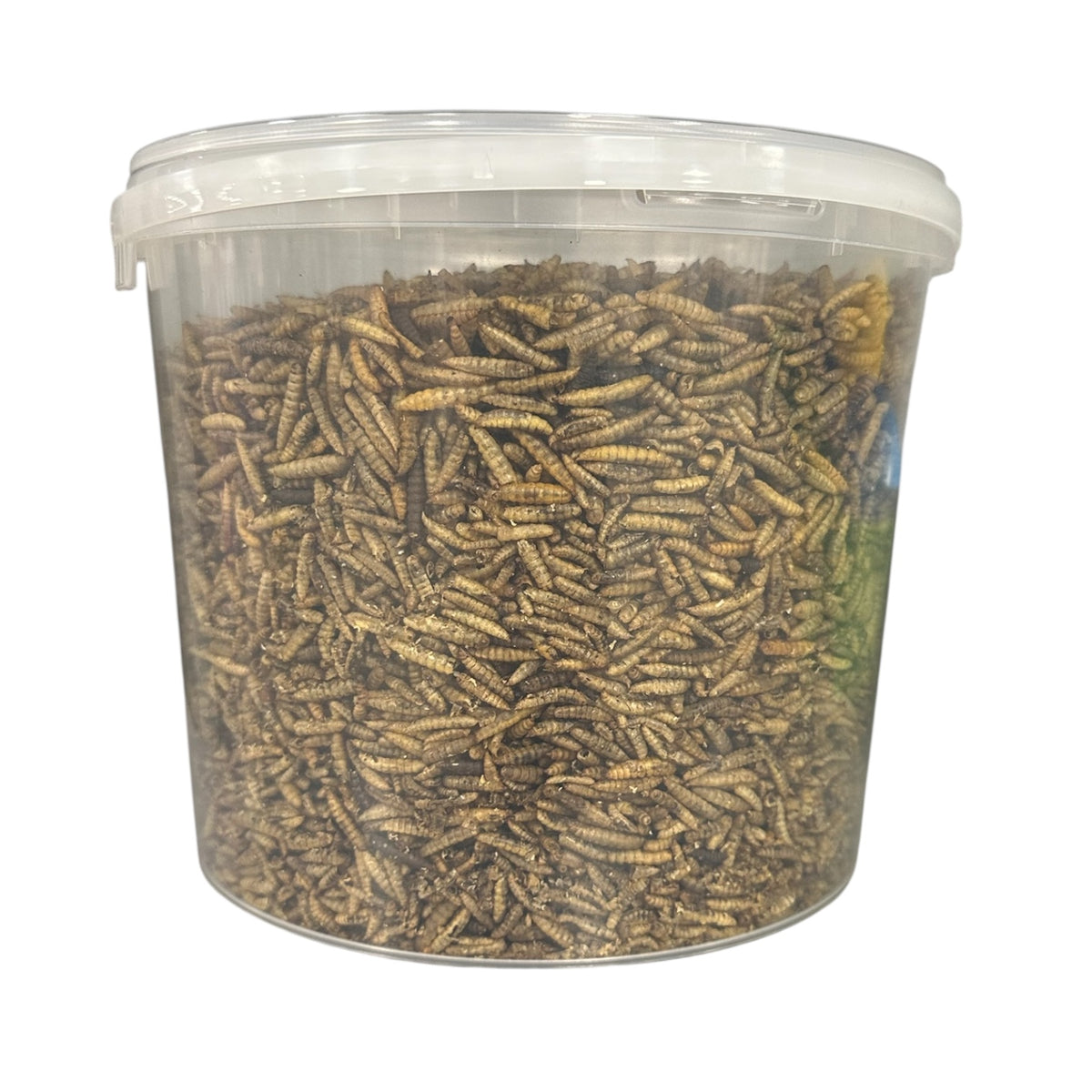 Rokers Wild Bird Food Tub - Calciworms 1kg